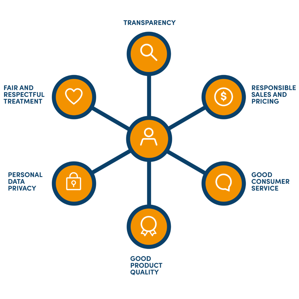 Consumer Protection Assessment - MFR