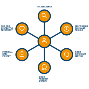 Consumer Protection Assessment - MFR